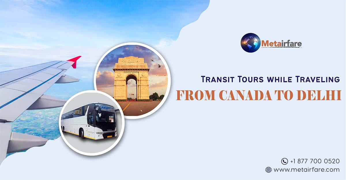 Exploring Doha Transit Tours from Canada to Delhi | Metairfare